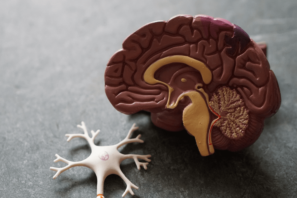 Νόσος Alzheimer: Πώς εξελίσσεται και τι πρέπει να γνωρίζουμε - Ιατρικός ...